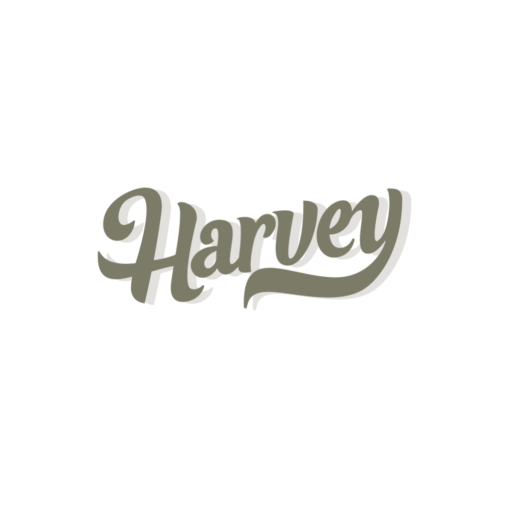Logos – Silvia Cordero Vega – Calligraphy artist